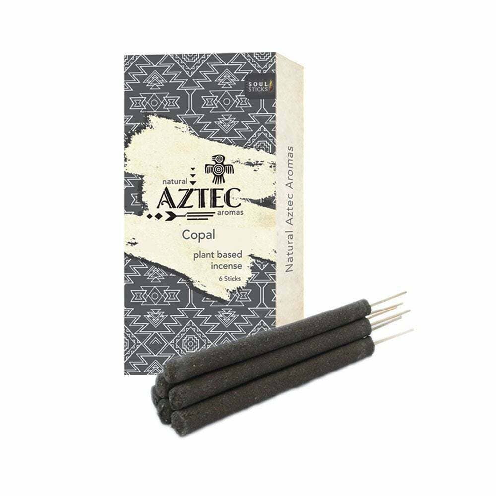 AZTEC Plant Based Incense Sticks – The Ninth House